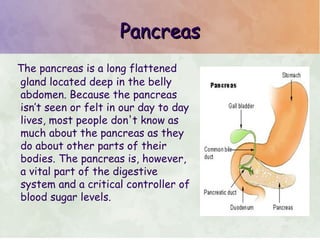 Endocrine glands PPT ON CLASS 8TH | PPT