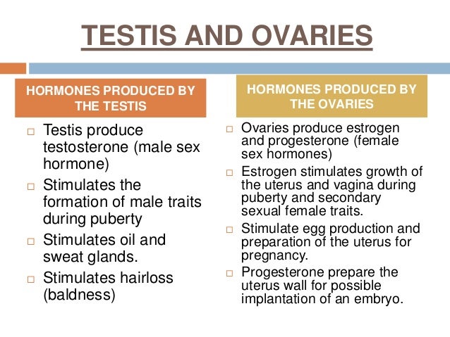 Endocrine glands