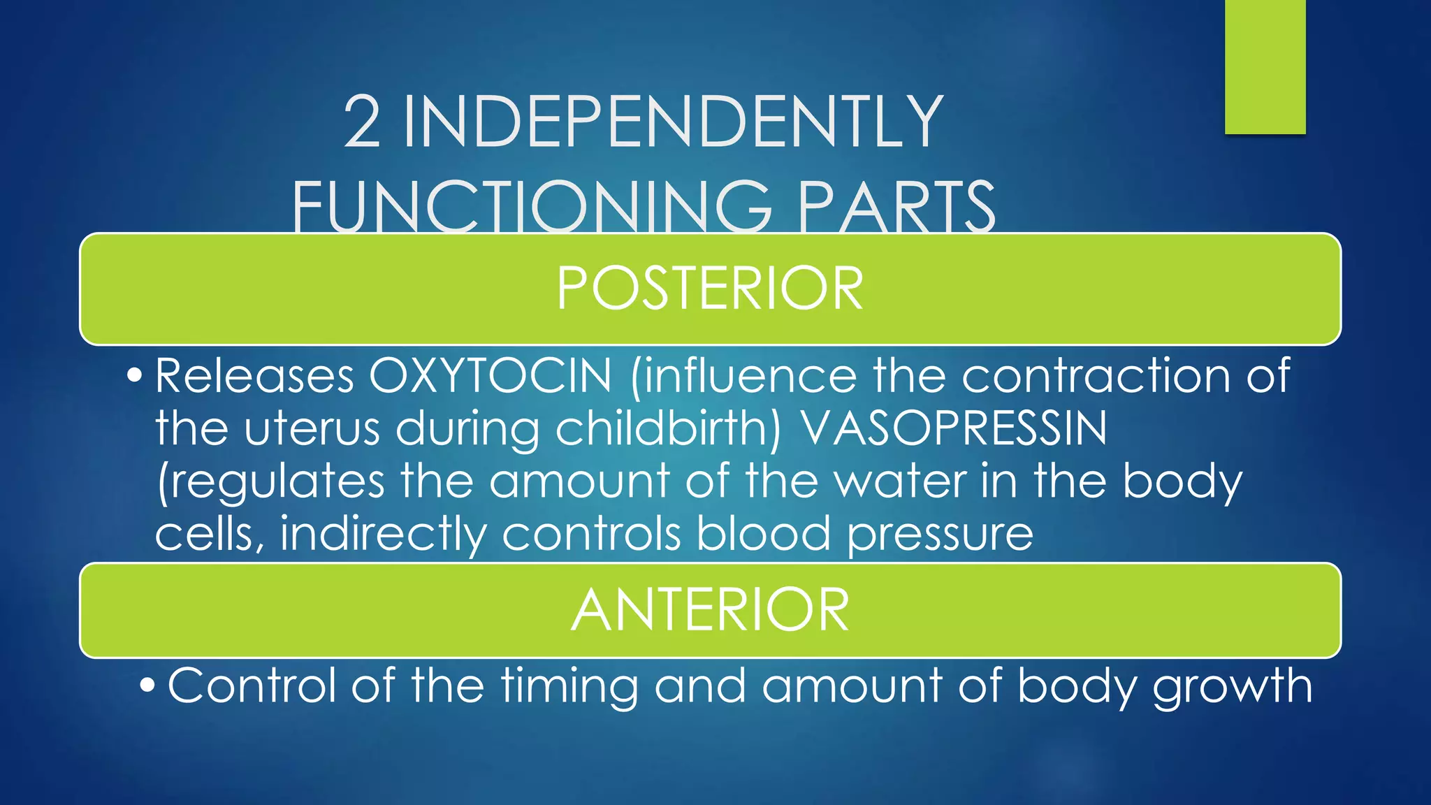 Endocrine Glands Prepared by Genevieve Casi-Tulbe General Psychology | PPT