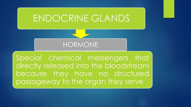 Endocrine Glands Prepared by Genevieve Casi-Tulbe General Psychology | PPT