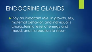 Endocrine Glands Prepared by Genevieve Casi-Tulbe General Psychology | PPT
