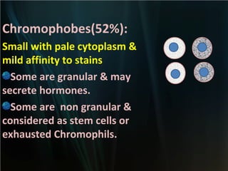 Endocrine glands | PPT