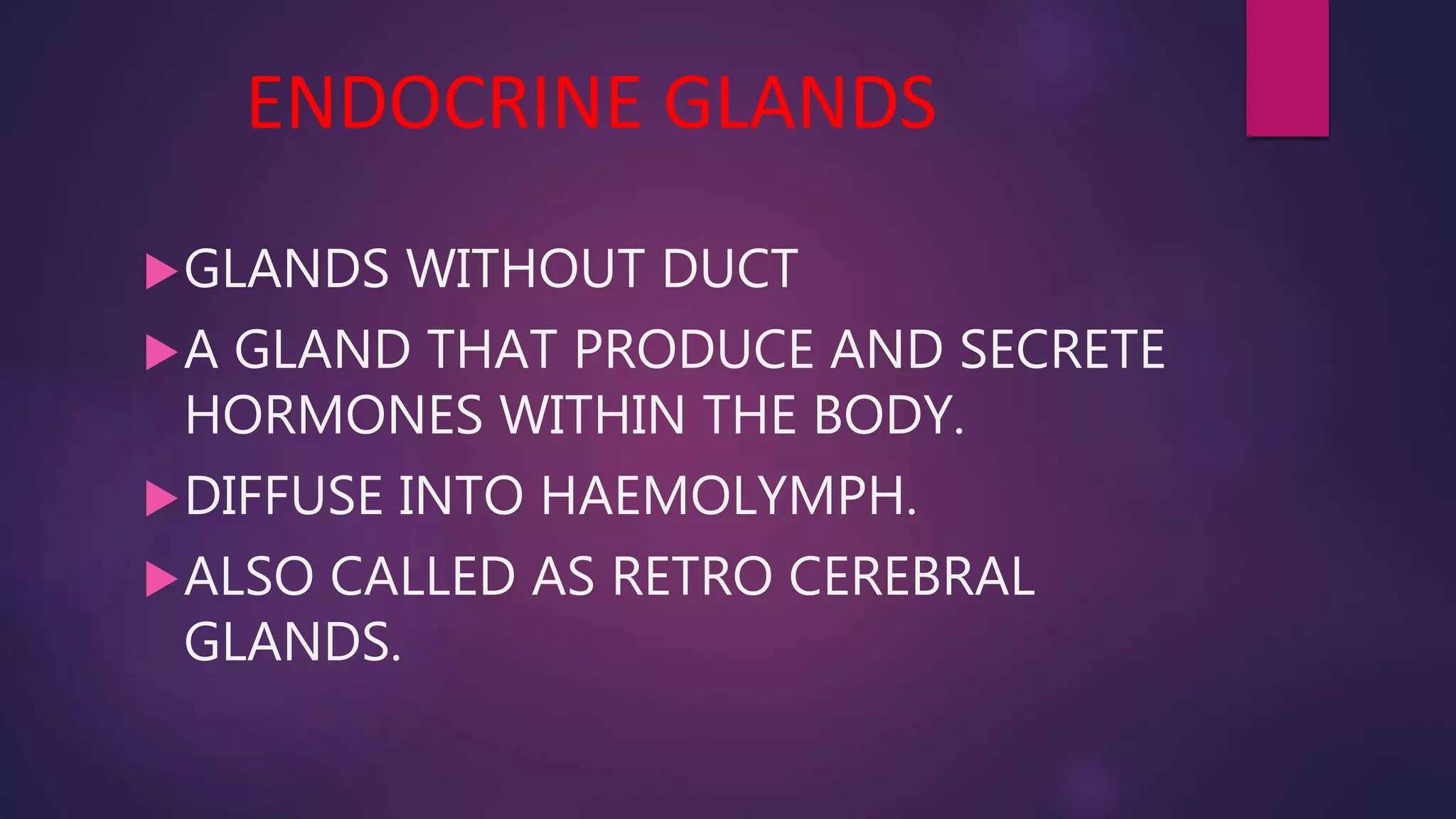 Endocrine glands of insects | PPTX