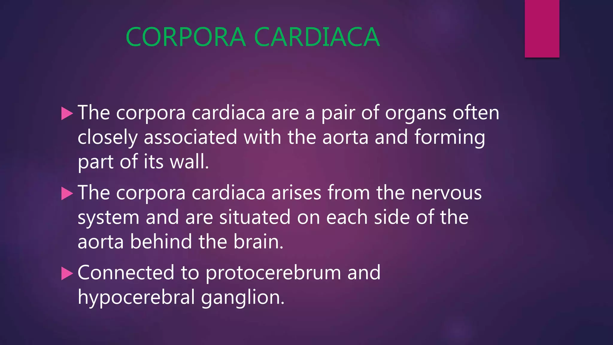 Endocrine glands of insects | PPTX
