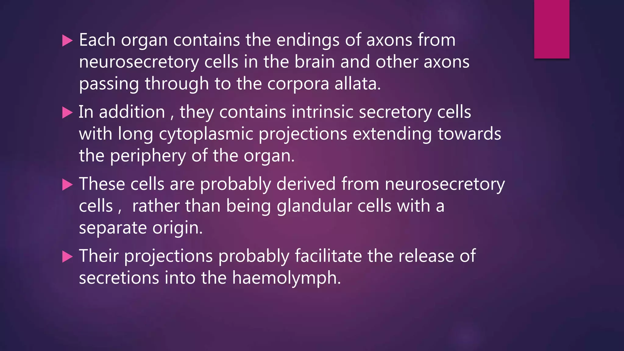 Endocrine glands of insects | PPTX