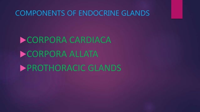 Endocrine glands of insects | PPTX | Heart and Cardiovascular Diseases ...