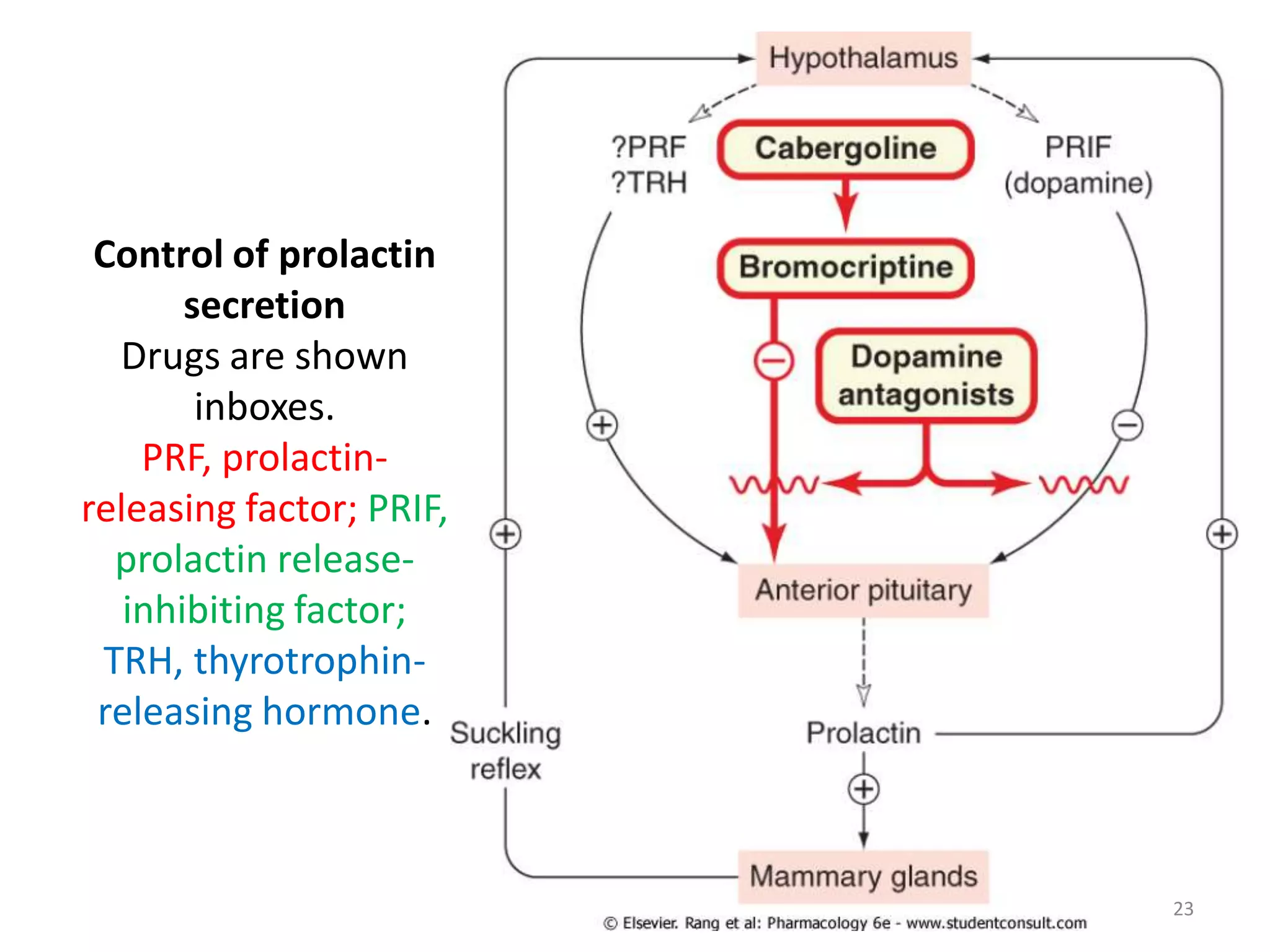 Endocrine glands | PDF | Endocrine and Metabolic Diseases | Diseases ...