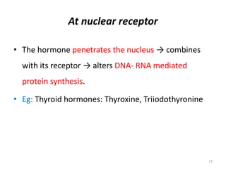 Endocrine glands | PDF