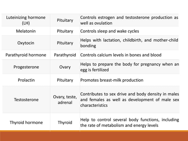 Endocrine glands | PPT