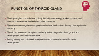 Endocrine glands.pptx