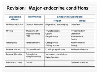 endocrine glands and hormanal regulation.pptx