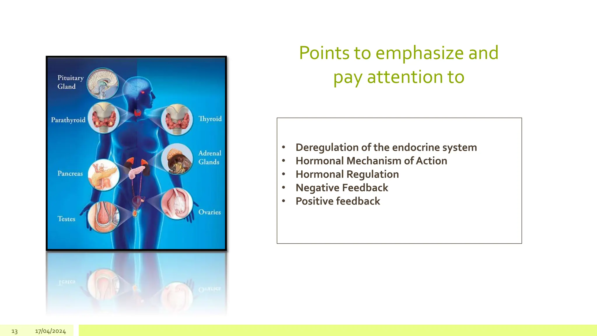 Endocrine Glands Expo.pptx for educational | PPT