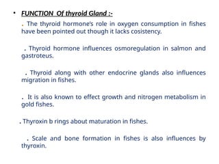 Endocrine glands in fishes by Uday M.Sc. II year.pptx