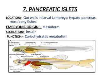 Endocrine glands in fishes by Uday M.Sc. II year.pptx