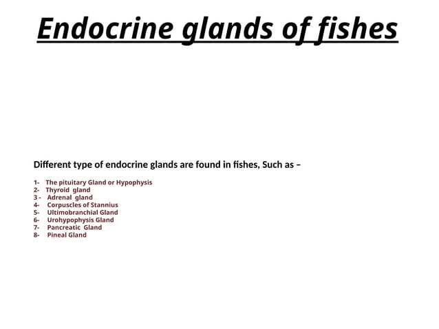 Endocrine glands in fishes by Uday M.Sc. II year.pptx
