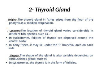 Endocrine glands in fishes by Uday M.Sc. II year.pptx