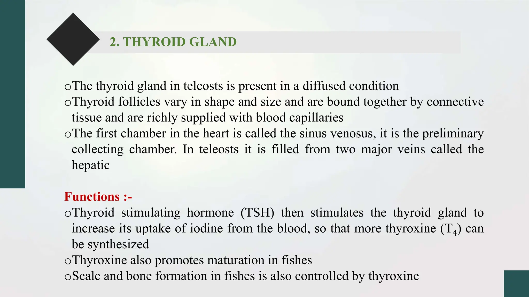 Endocrine glands in fish, hormones, structure and function of the neuro ...