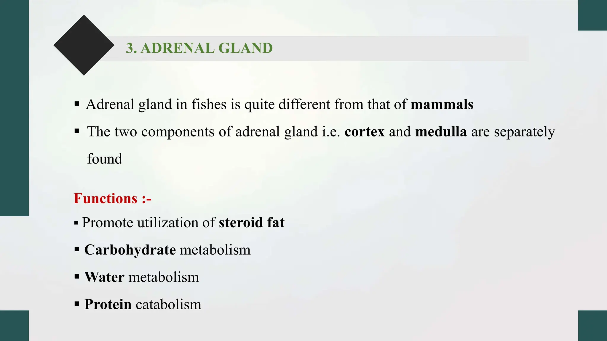 Endocrine glands in fish, hormones, structure and function of the neuro ...