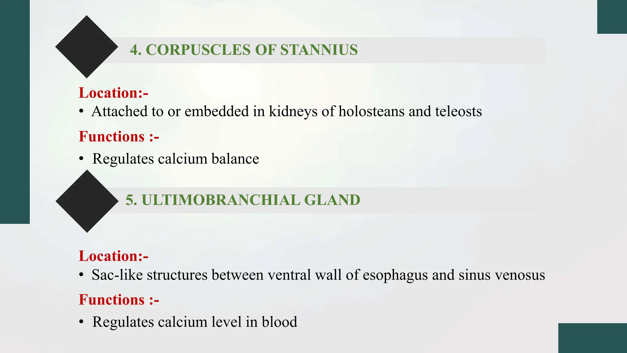 Endocrine glands in fish, hormones, structure and function of the neuro ...