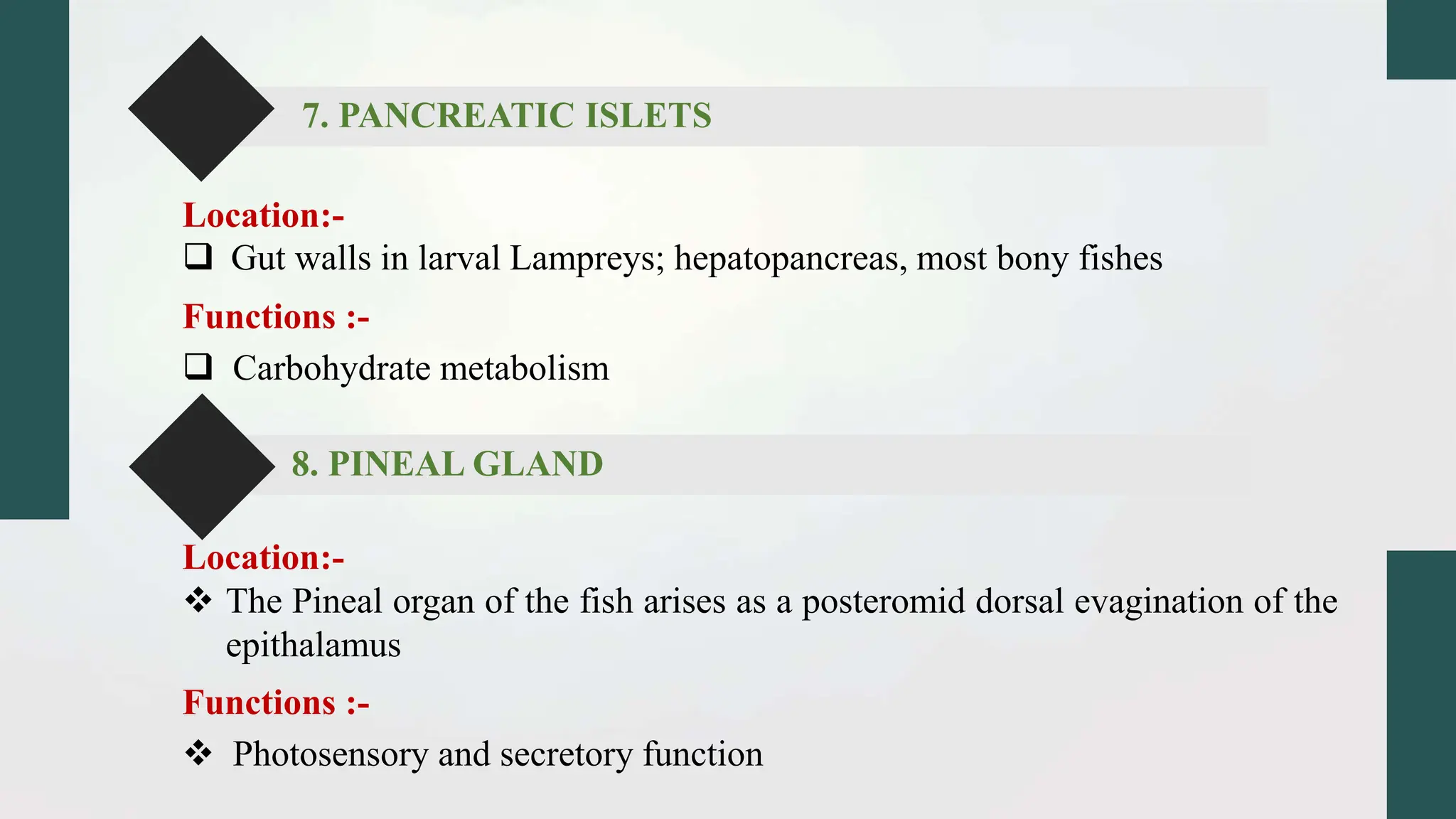Endocrine glands in fish, hormones, structure and function of the neuro ...