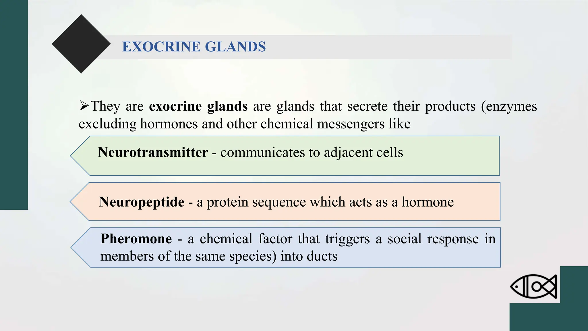 Endocrine glands in fish, hormones, structure and function of the neuro ...