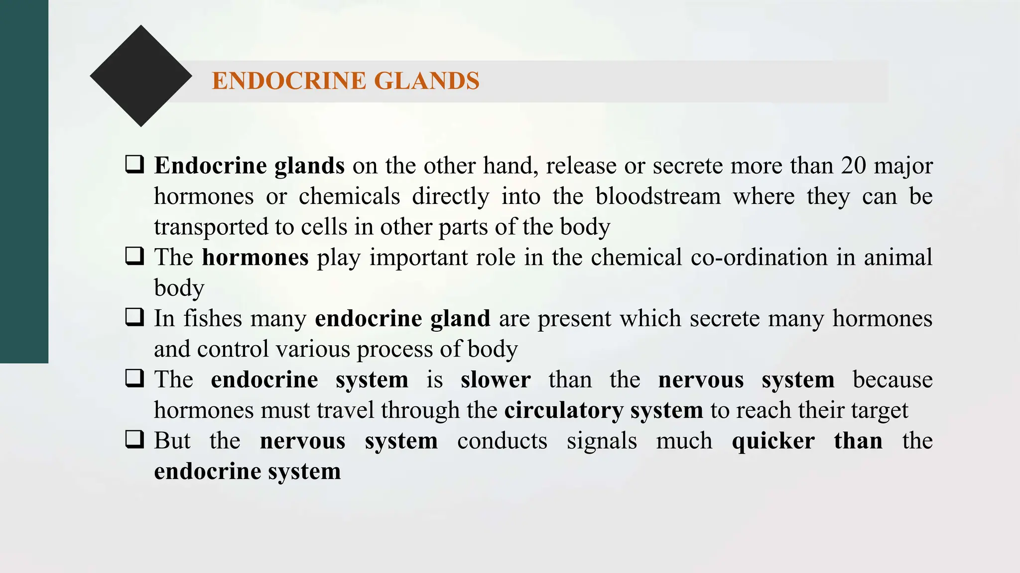 Endocrine glands in fish, hormones, structure and function of the neuro ...