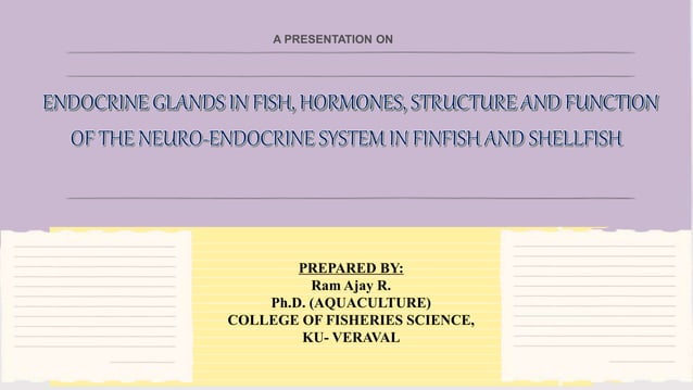 Endocrine glands in fish, hormones, structure and function of the neuro ...