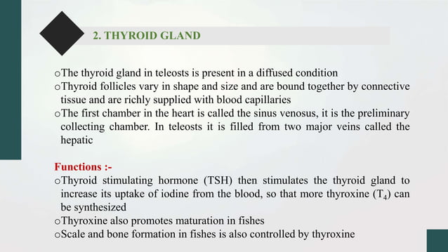 Endocrine glands in fish, hormones, structure and function of the neuro ...
