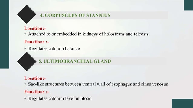 Endocrine glands in fish, hormones, structure and function of the neuro ...