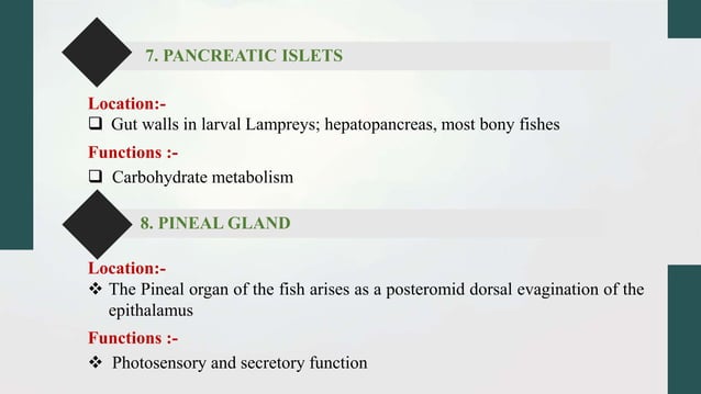 Endocrine glands in fish, hormones, structure and function of the neuro ...