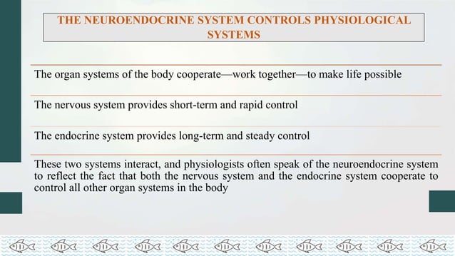 Endocrine glands in fish, hormones, structure and function of the neuro ...