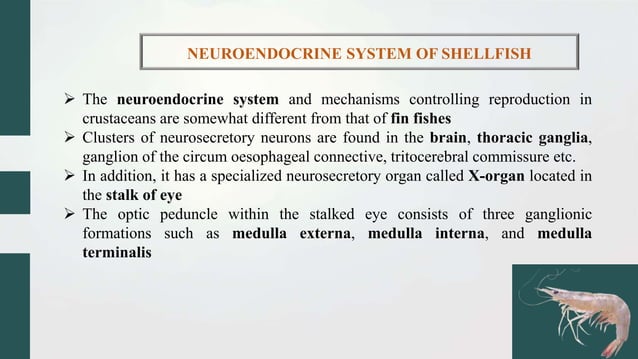 Endocrine glands in fish, hormones, structure and function of the neuro ...