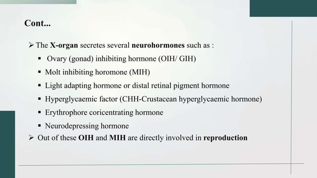 Endocrine glands in fish, hormones, structure and function of the neuro ...