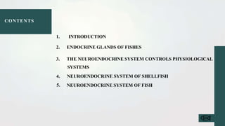 Endocrine glands in fish, hormones, structure and function of the neuro ...