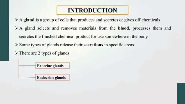 Endocrine glands in fish, hormones, structure and function of the neuro ...