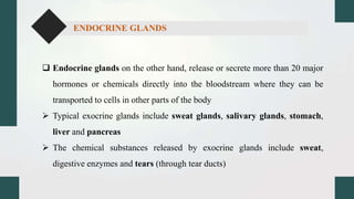 Endocrine glands in fish, hormones, structure and function of the neuro ...