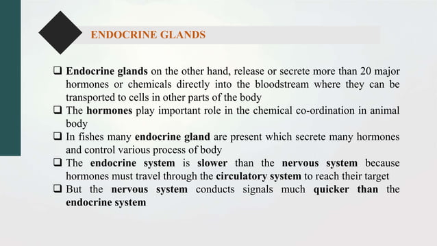 Endocrine glands in fish, hormones, structure and function of the neuro ...