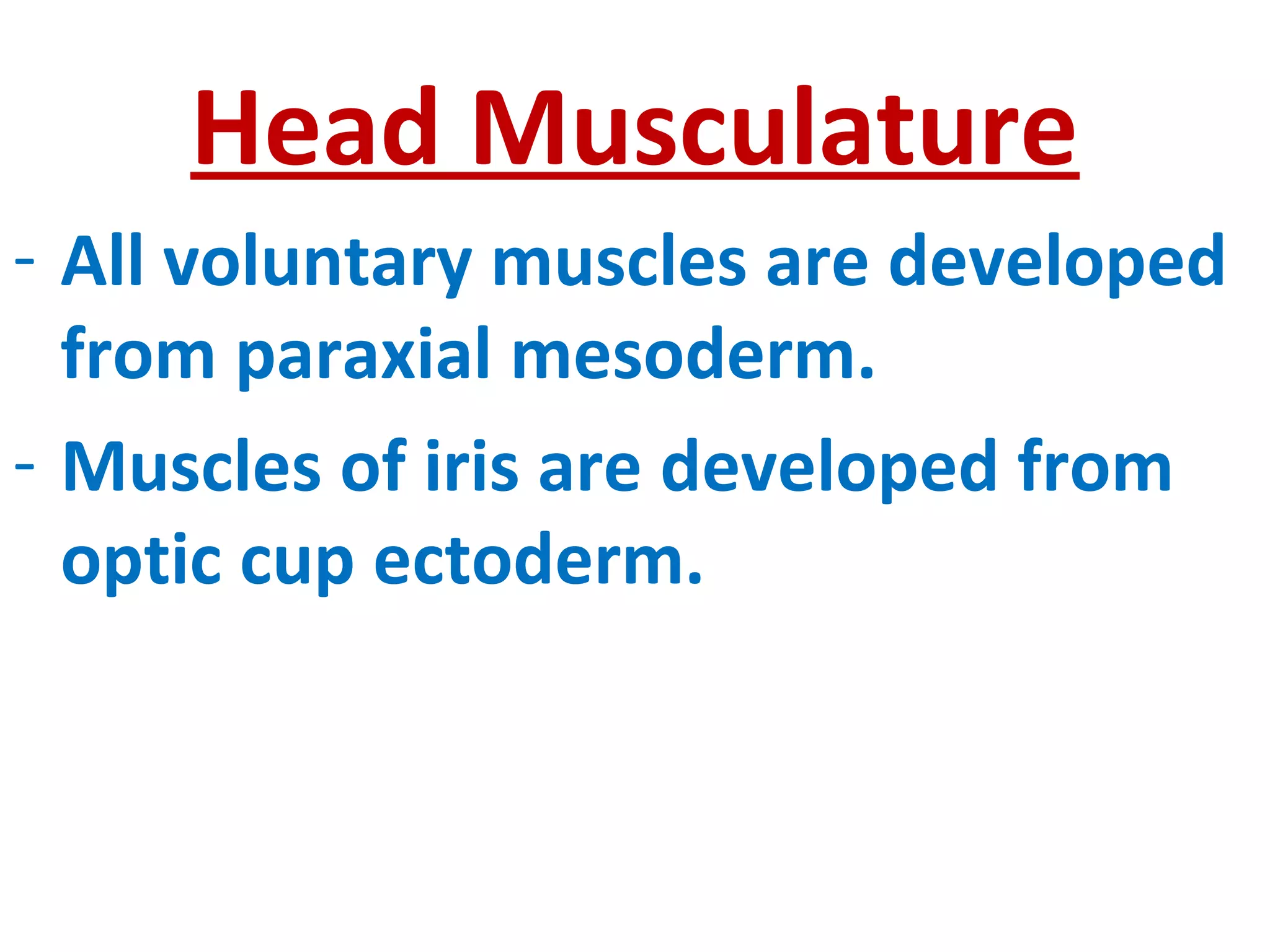 Development of Endocrine glands & Muscles (Special Embryology) | PPS