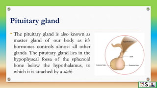Endocrine glands part 1 english | PPTX