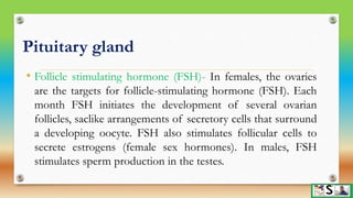 Endocrine glands part 1 english | PPTX