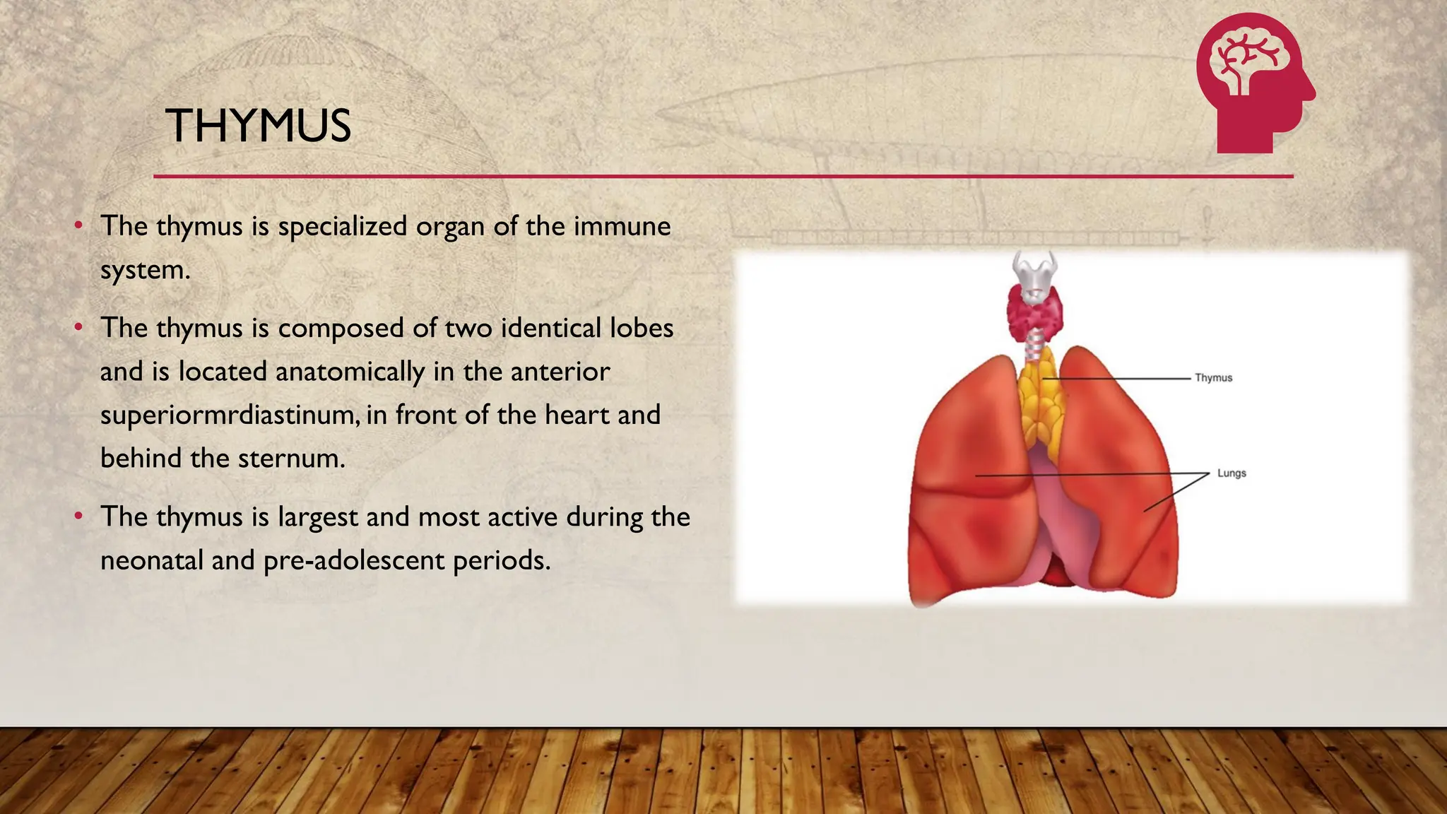 Endocrine glands ppt on monday.pjfdjfdfddf | PDF