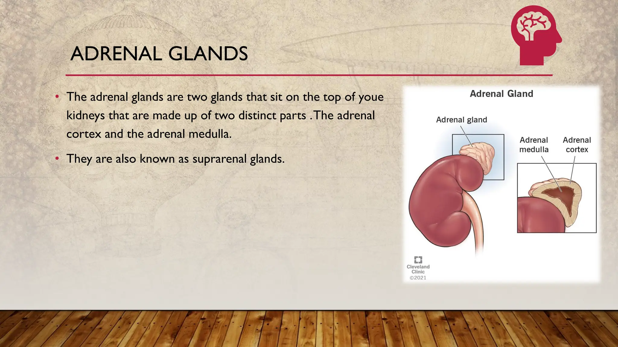 Endocrine glands ppt on monday.pjfdjfdfddf | PPT