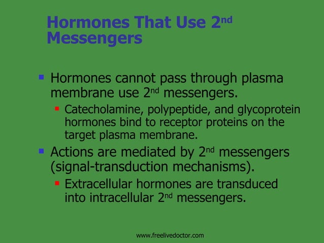 Endocrine Glands; Secretion&Action Of Harmones | PPT