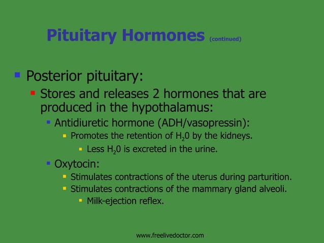 Endocrine Glands; Secretion&Action Of Harmones | PPT