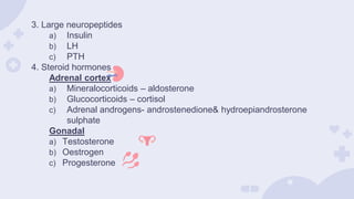 endocrine hormones | PPT