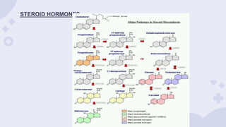endocrine hormones | PPTX