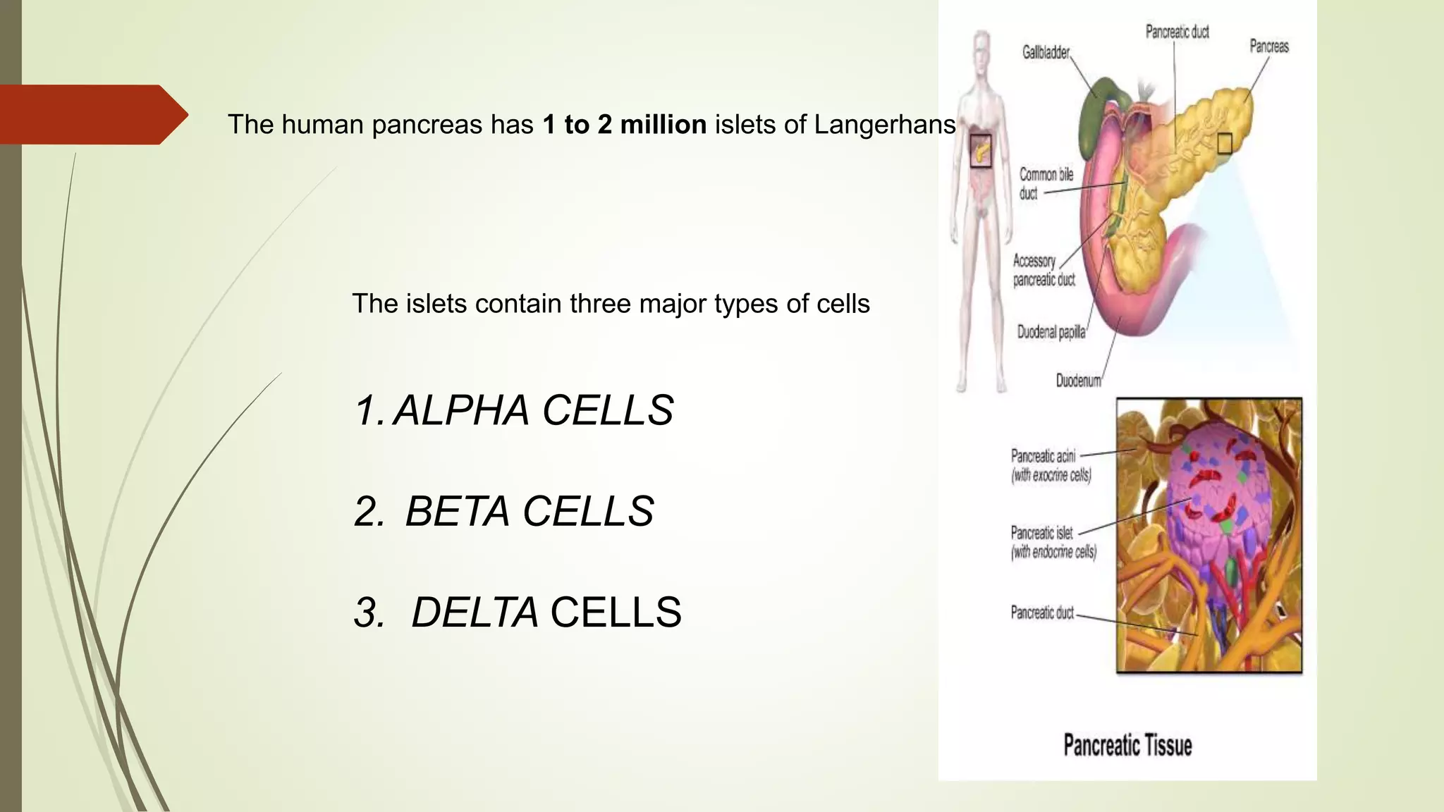 ENDOCRINE HORMONES OF PANCREAS.pptx
