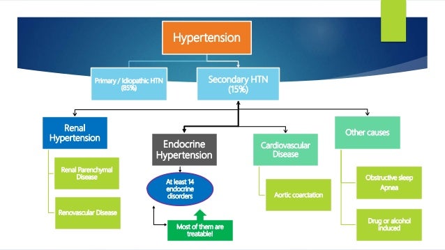 Endocrine hypertension