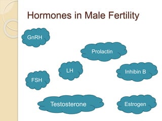 Endocrine Infertility.pptx