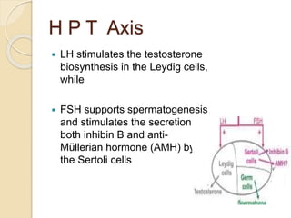 Endocrine Infertility.pptx